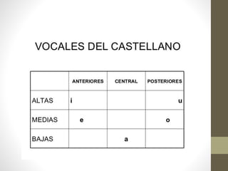5.vocales | PPTX
