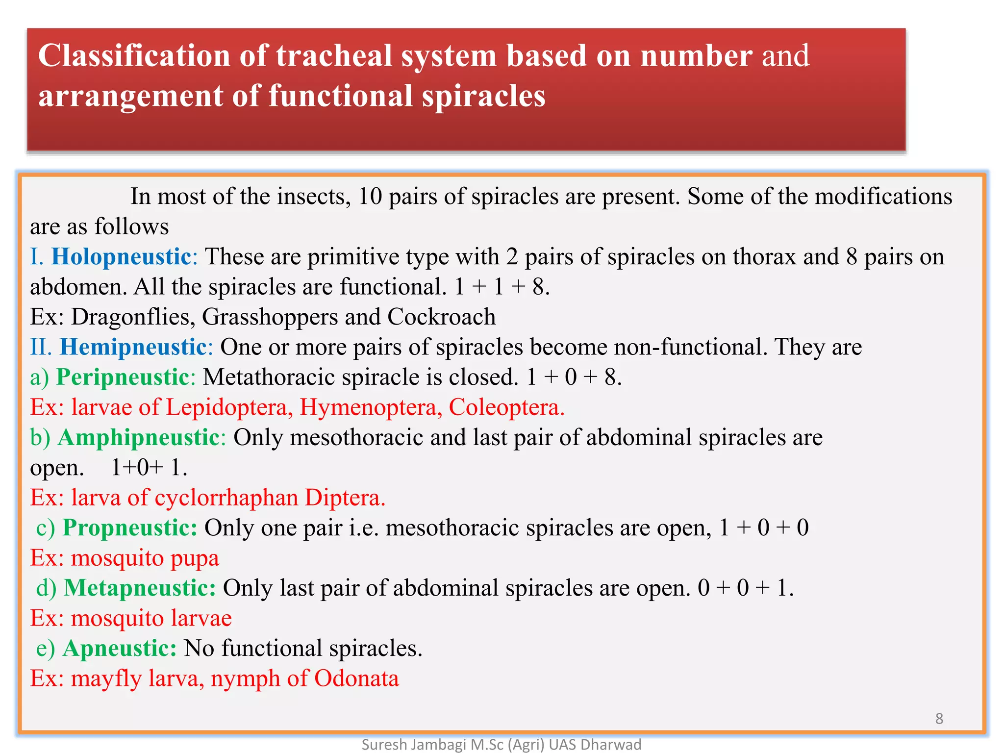 Respiratory system in insect | PPTX