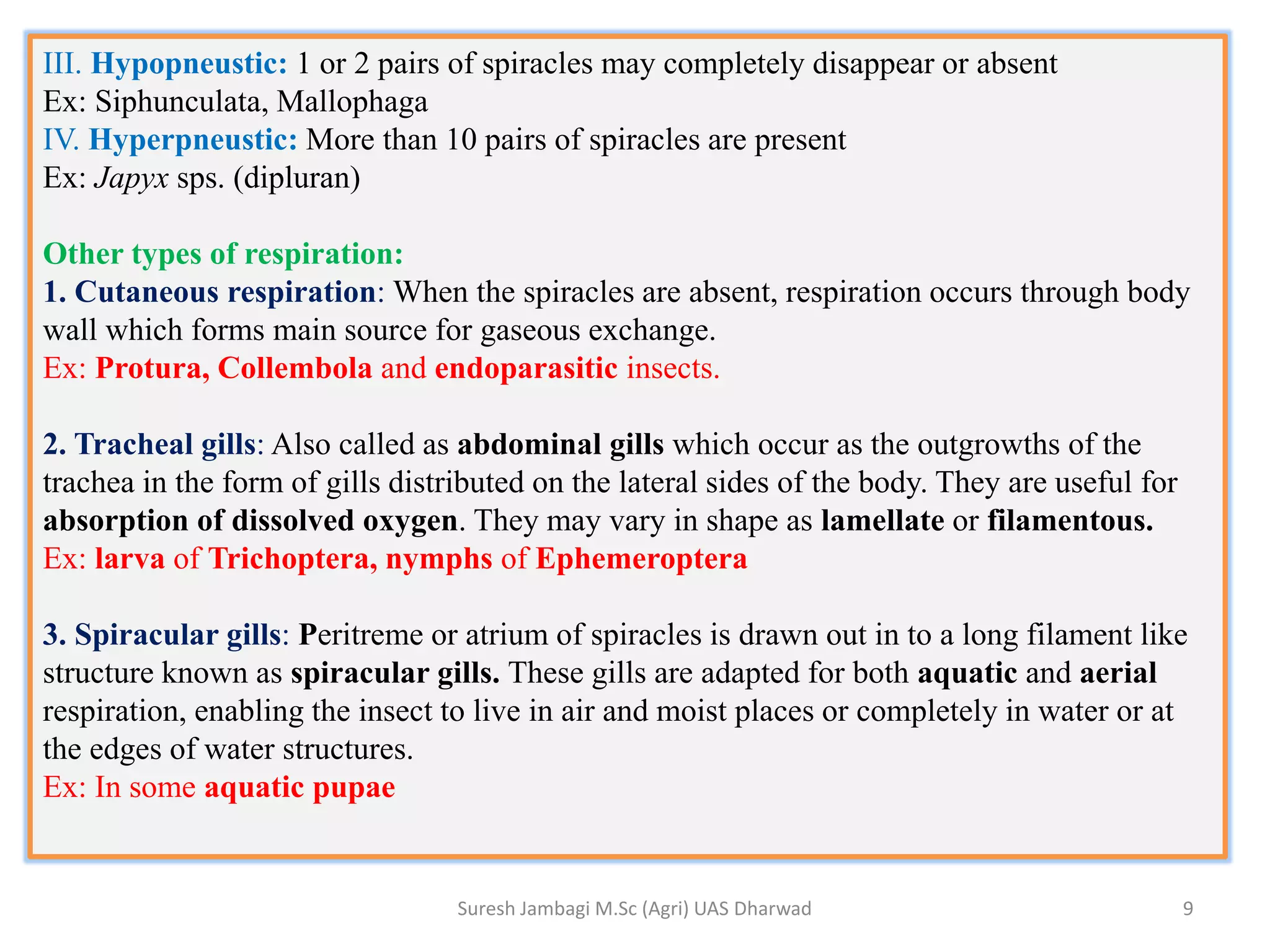 Respiratory system in insect | PPTX