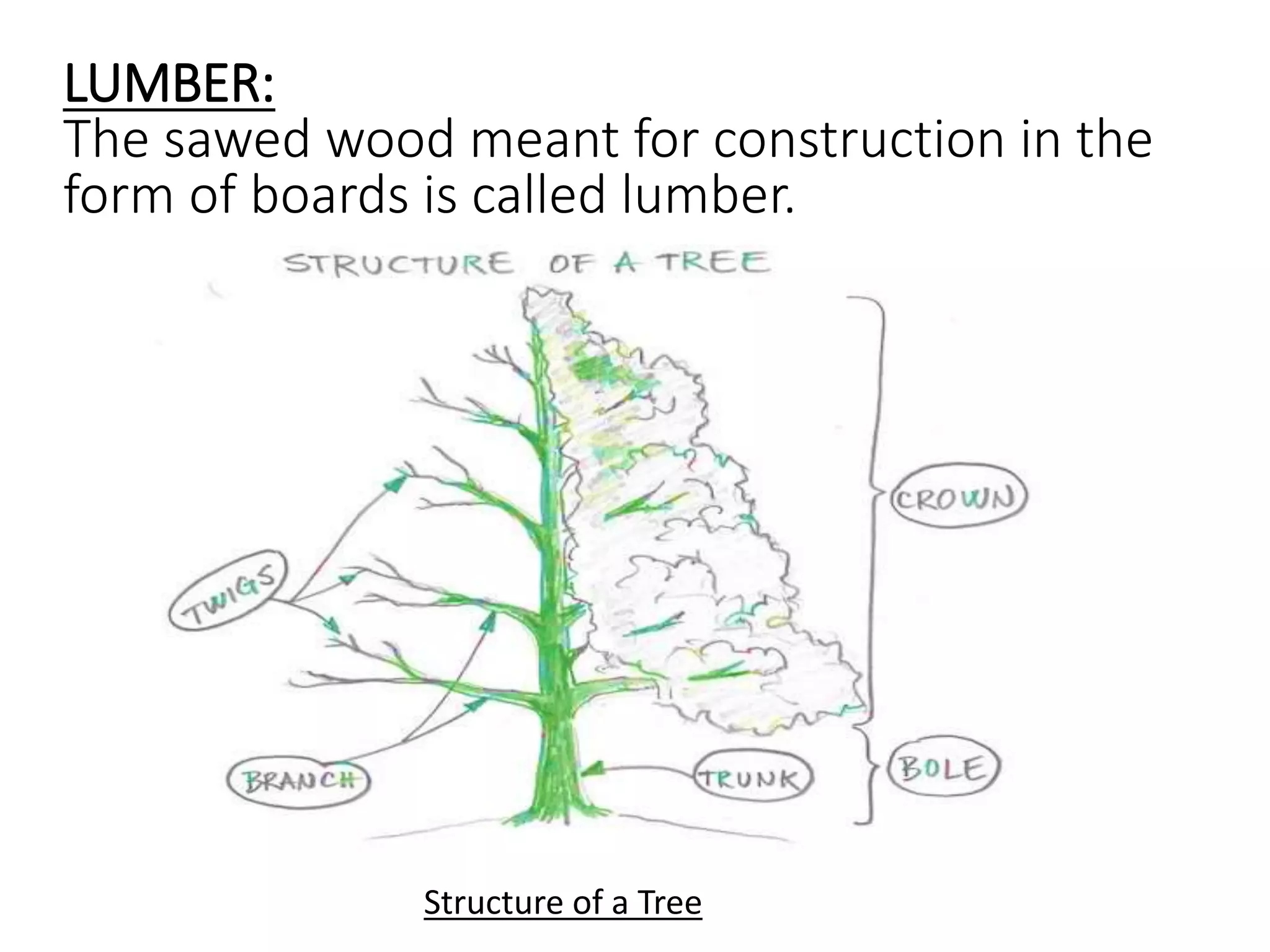 5. timber | PPTX