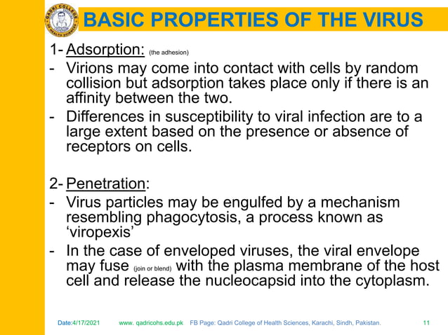 5. Basic properties of virus | PPTX | Infectious Diseases | Diseases ...