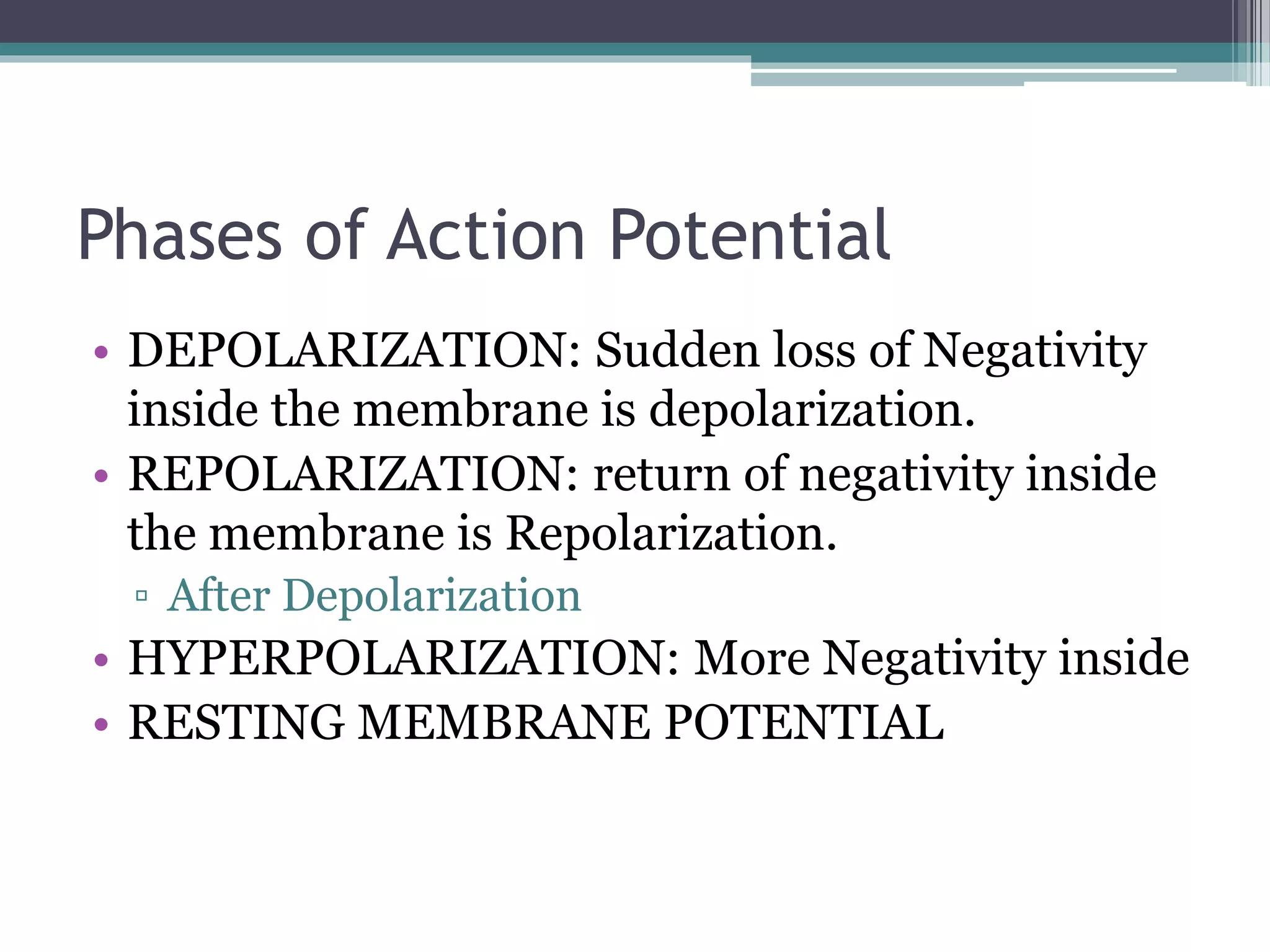 Action Potential | PPT