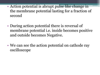 Action Potential | PPTX