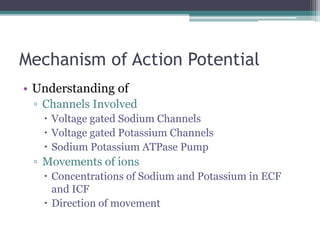 Action Potential | PPT