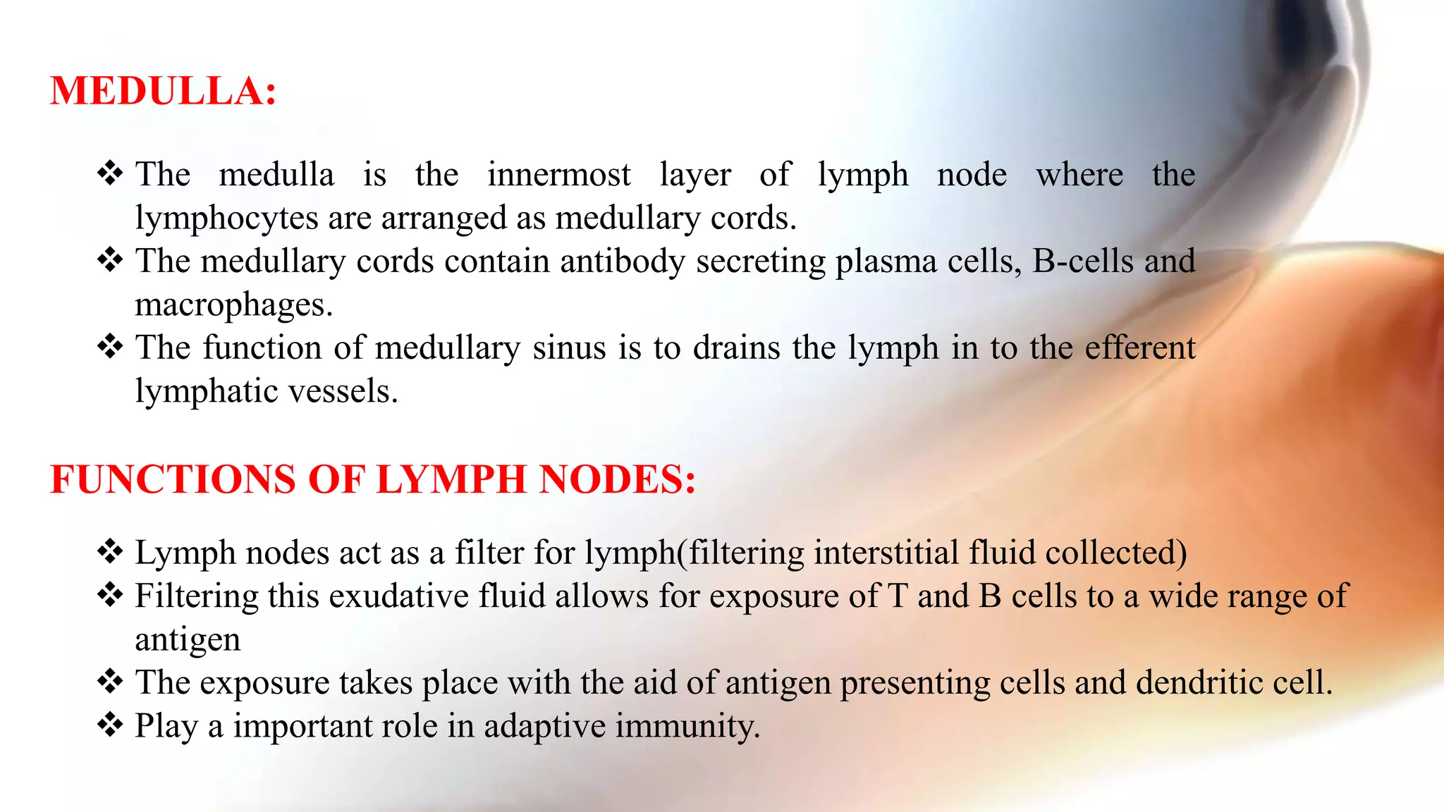 Secondary lymphoid organ | PPTX