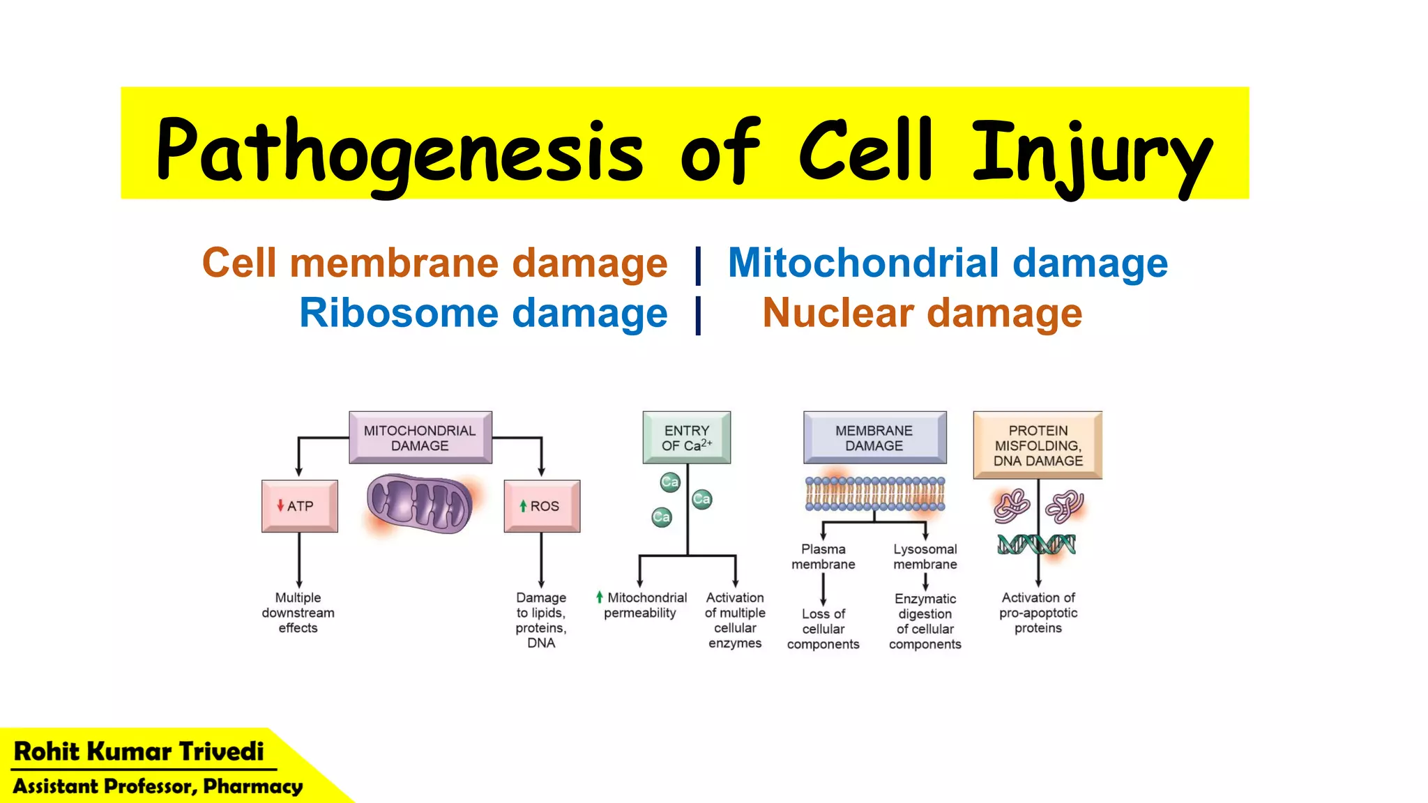 Pathogenesis of cell injury By Rohit Kumar Trivedi | PDF