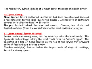 5. respiratory system | PPT