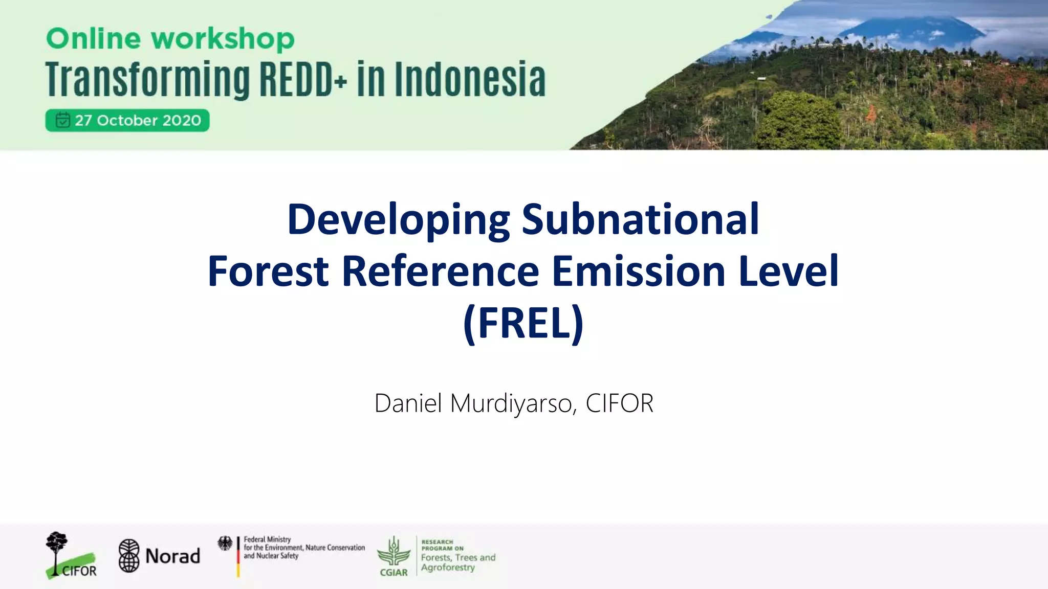 Developing Subnational Forest Reference Emission Level (FREL) | PDF