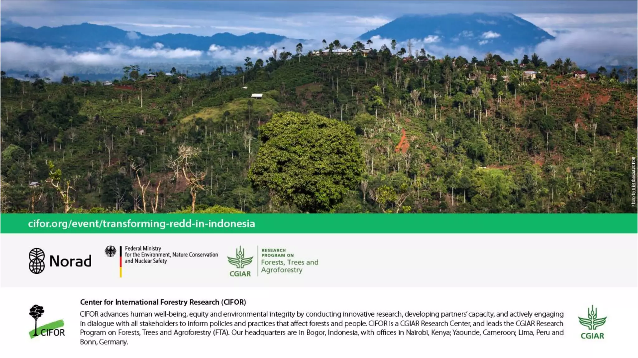 Developing Subnational Forest Reference Emission Level (FREL) | PDF