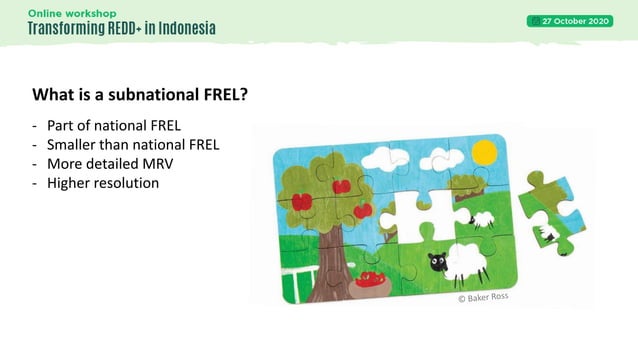 Developing Subnational Forest Reference Emission Level (FREL) | PDF
