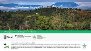 Developing Subnational Forest Reference Emission Level (FREL) | PDF