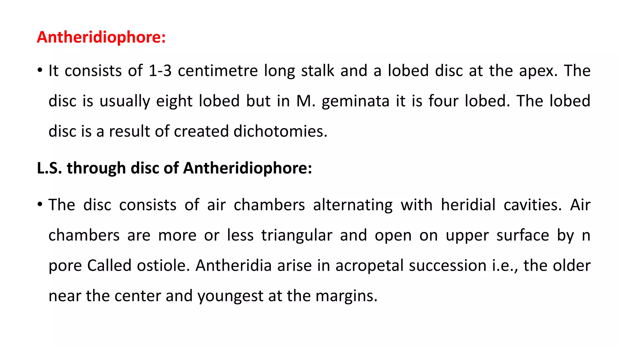 5. Sexual reproduction in marchantia | PPTX