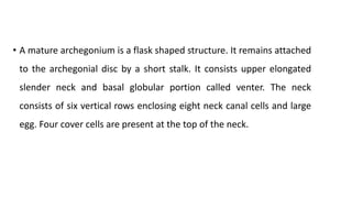 5. Sexual reproduction in marchantia | PPTX