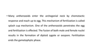 5. Sexual reproduction in marchantia | PPTX