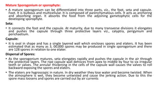 5. Sexual reproduction in marchantia | PPTX