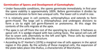 5. Sexual reproduction in marchantia | PPTX