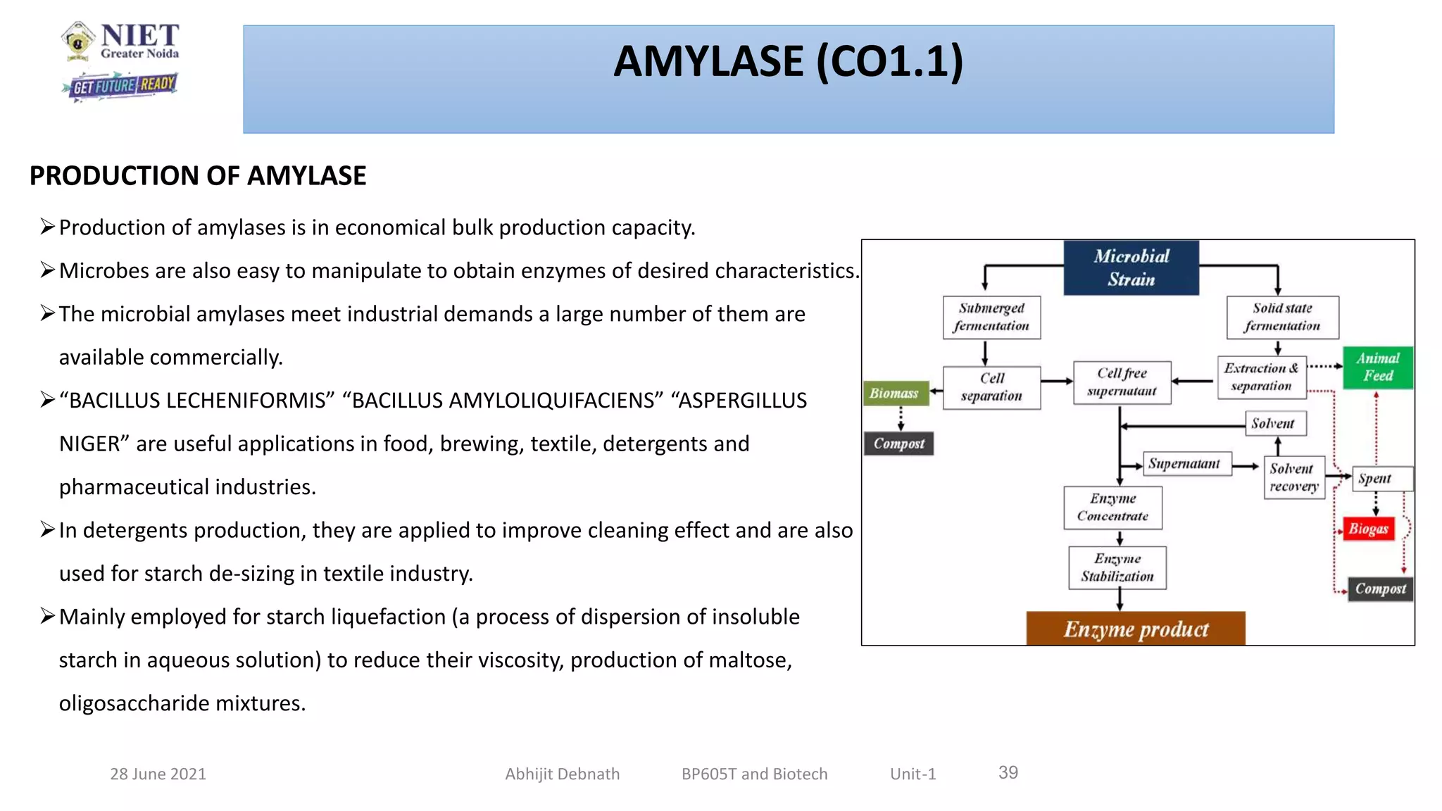 Use of microbes in industry | PPTX
