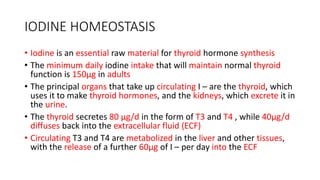 5. the thyroid gland | PPTX | Thyroid Disorders | Endocrine and ...