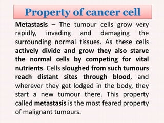 CANCER | PDF
