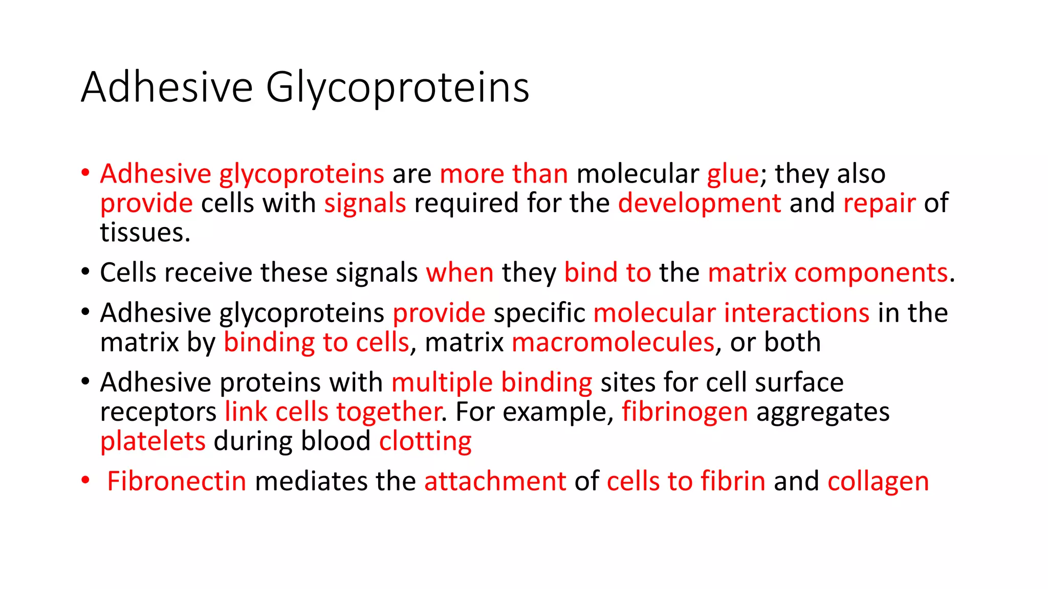 5. cellular adhesion and the extracellular matrix | PPTX