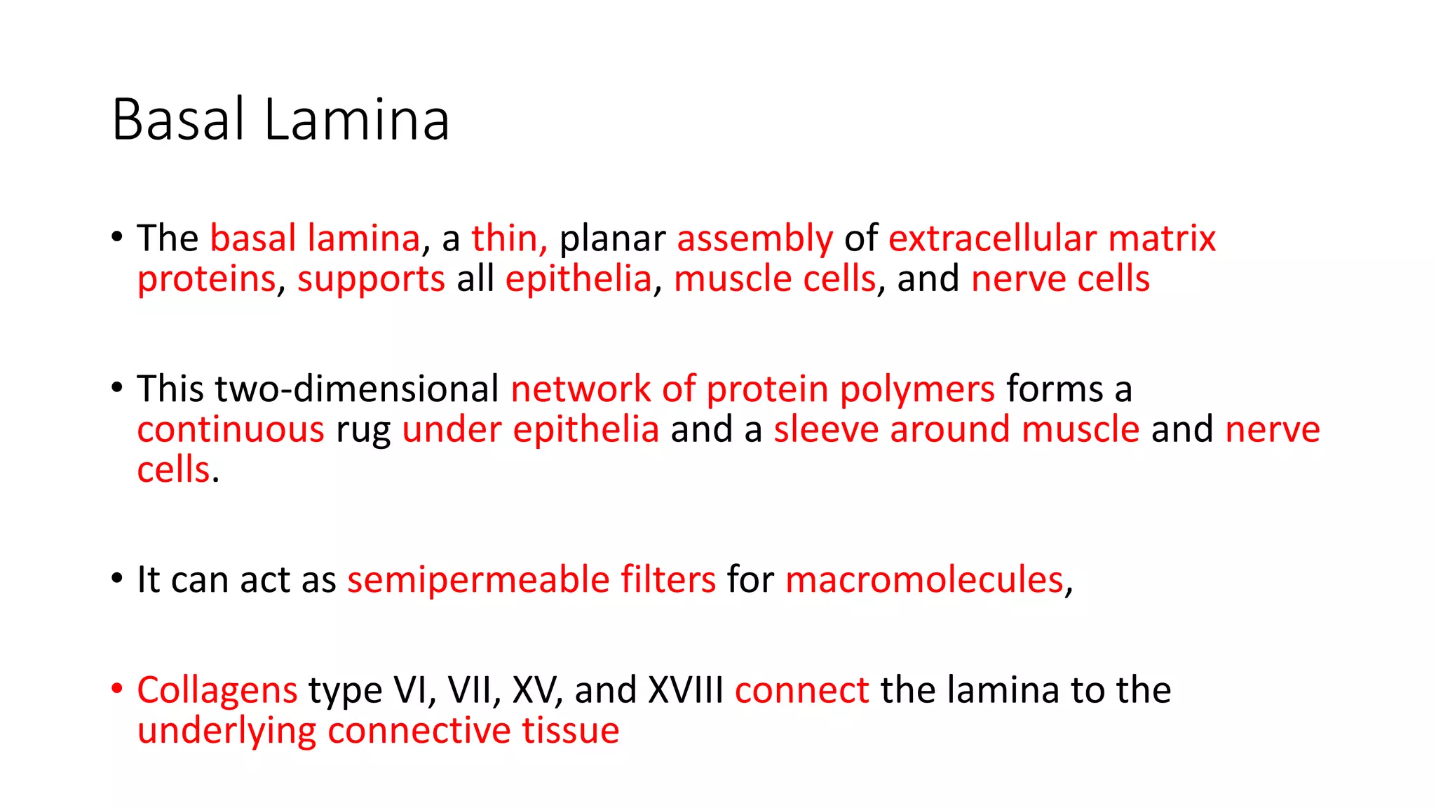 5. cellular adhesion and the extracellular matrix | PPTX