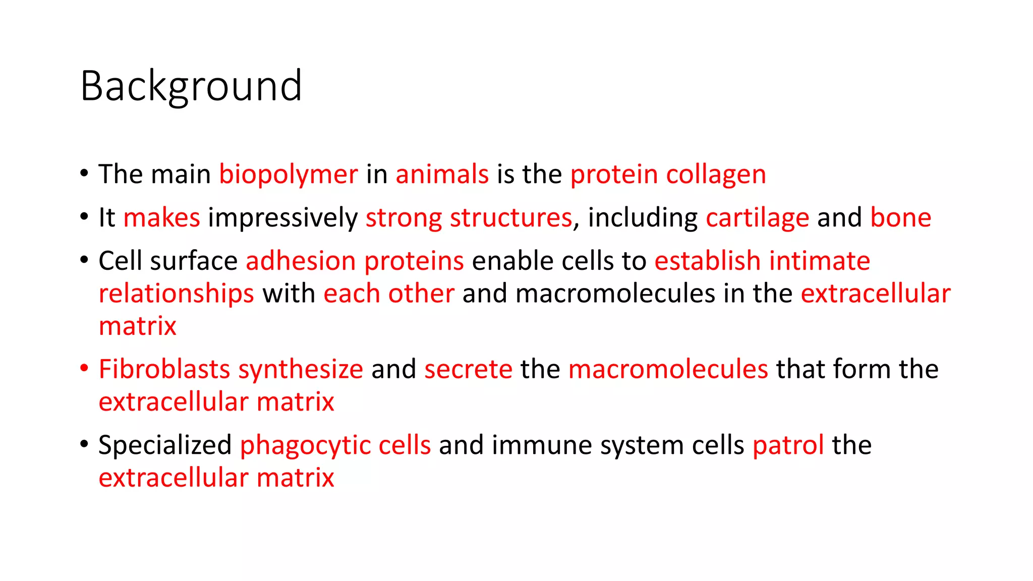 5 Cellular Adhesion And The Extracellular Matrix Ppt