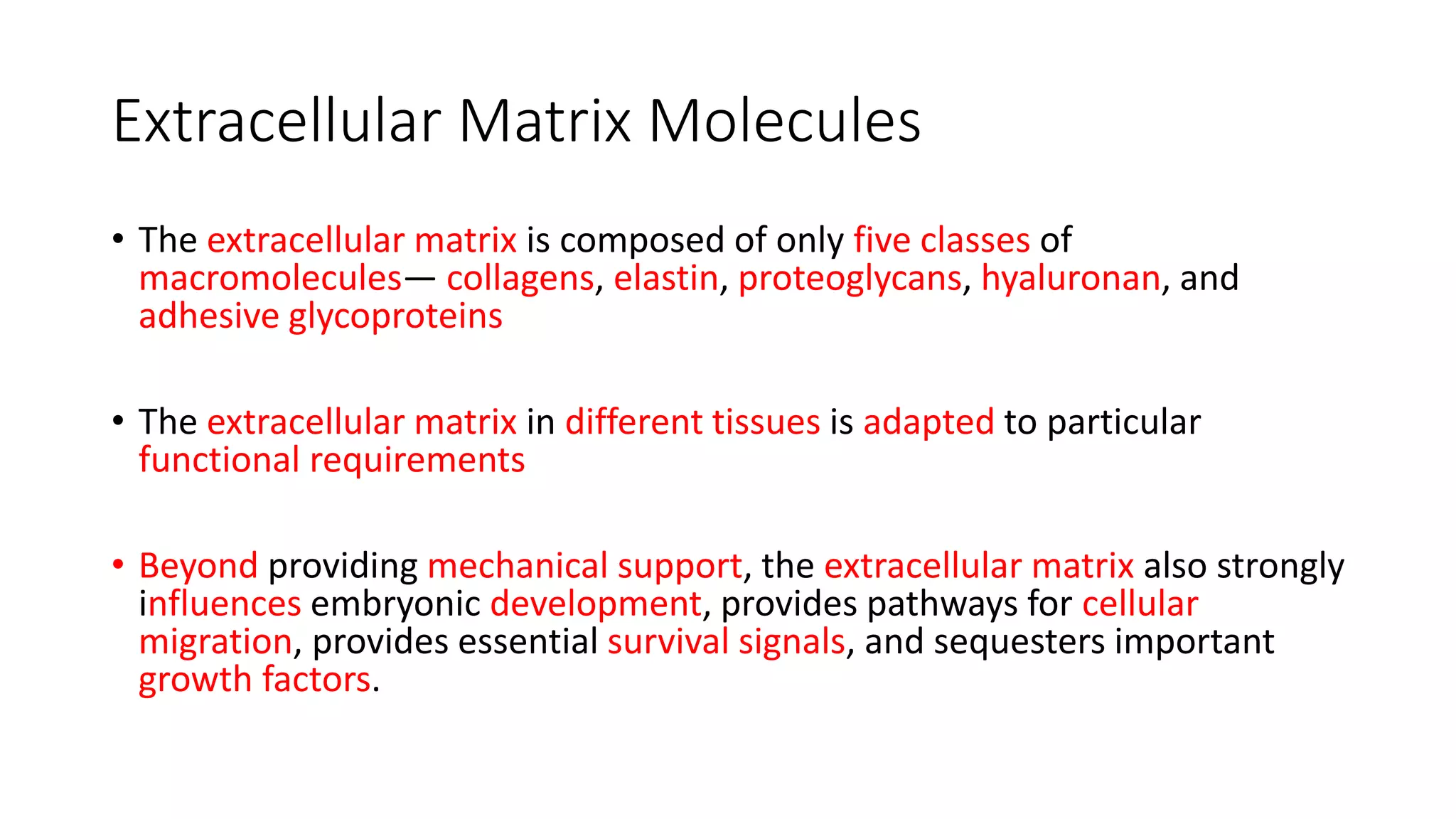 5. cellular adhesion and the extracellular matrix | PPTX