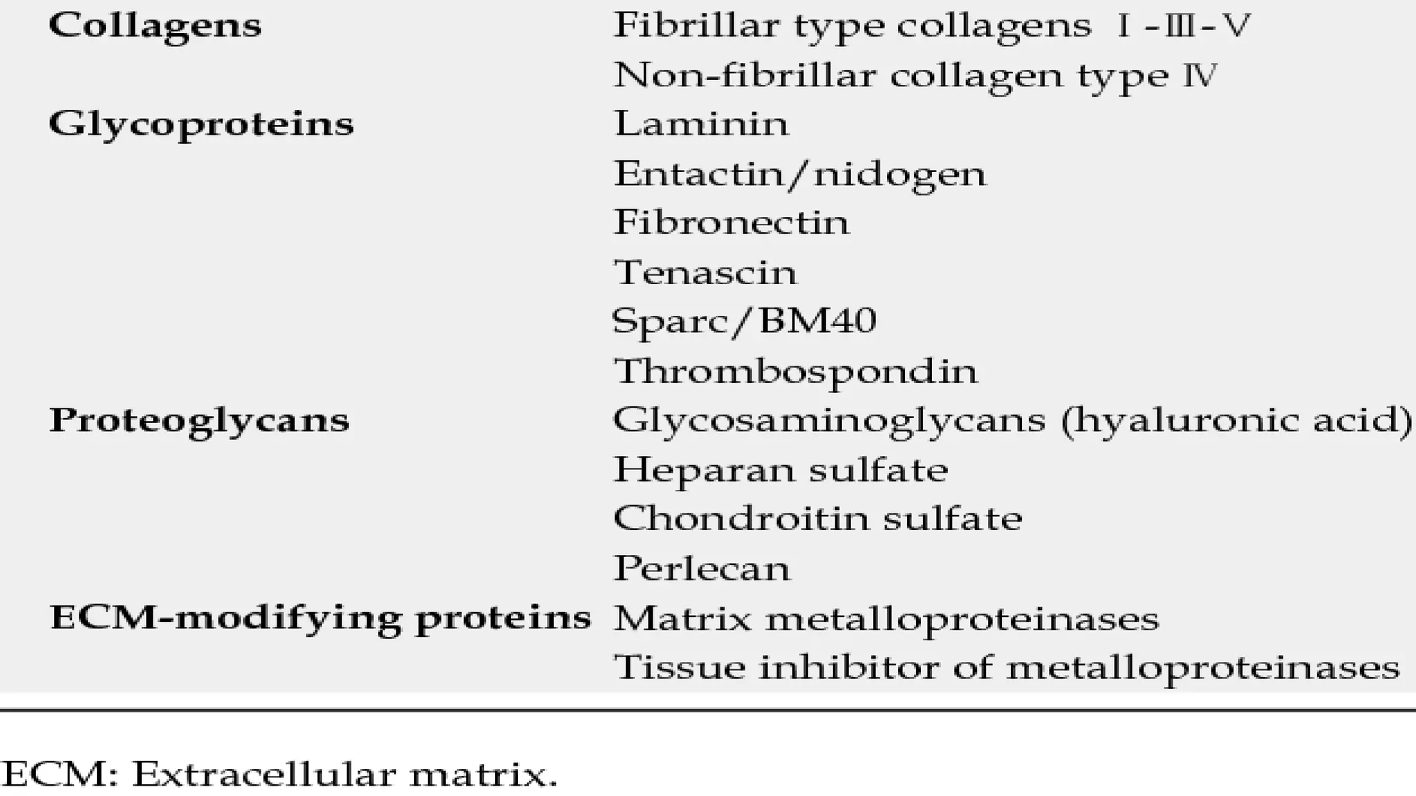 5. cellular adhesion and the extracellular matrix | PPTX