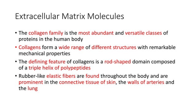5. cellular adhesion and the extracellular matrix | PPT