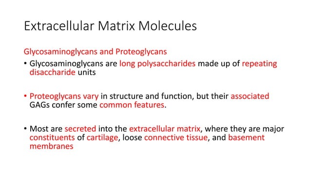 5. cellular adhesion and the extracellular matrix | PPT