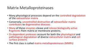 5. cellular adhesion and the extracellular matrix | PPTX