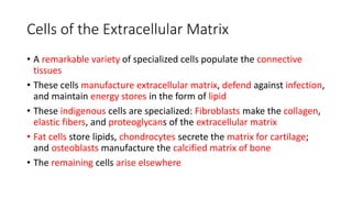 5. cellular adhesion and the extracellular matrix | PPTX