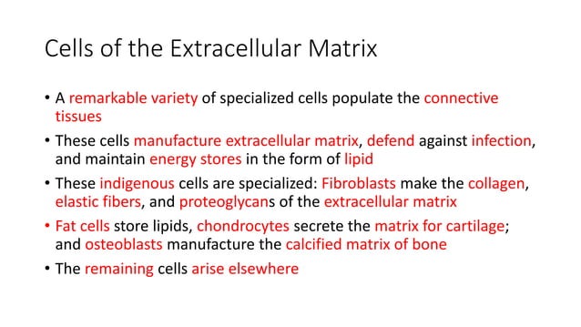 5. cellular adhesion and the extracellular matrix | PPT