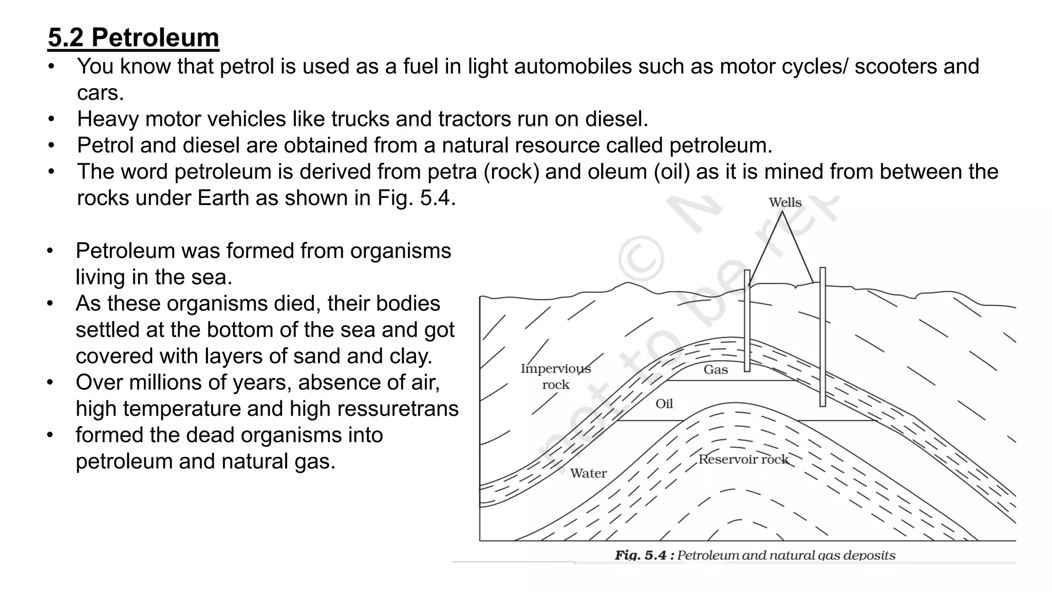 5. coal and petroleum | PDF