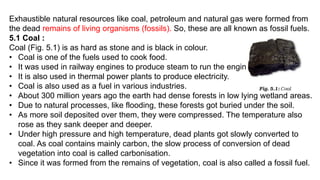 5. coal and petroleum | PDF