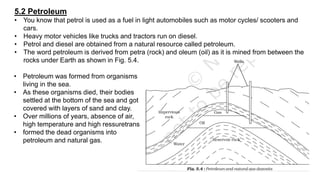 5. coal and petroleum | PDF