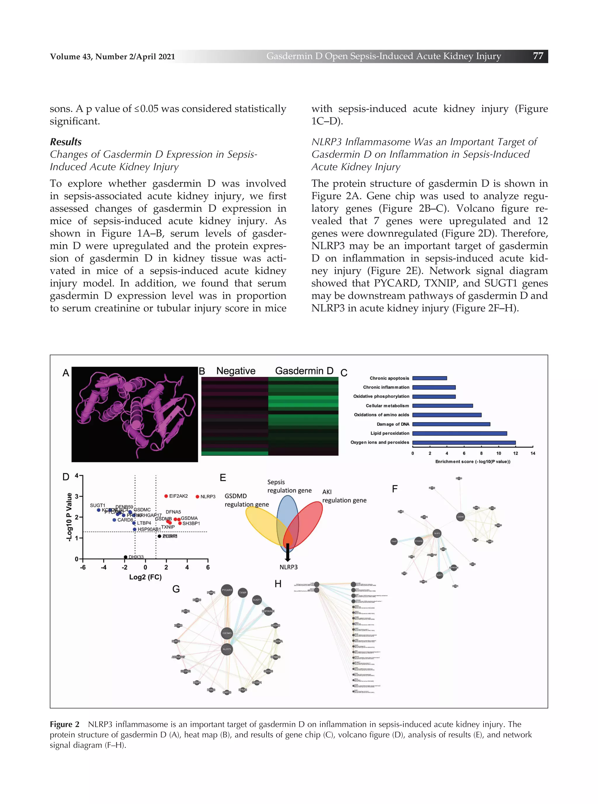 Gasdermin D Open Sepsis-Induced Acute Kidney Injury via Cell Pyroptosis ...