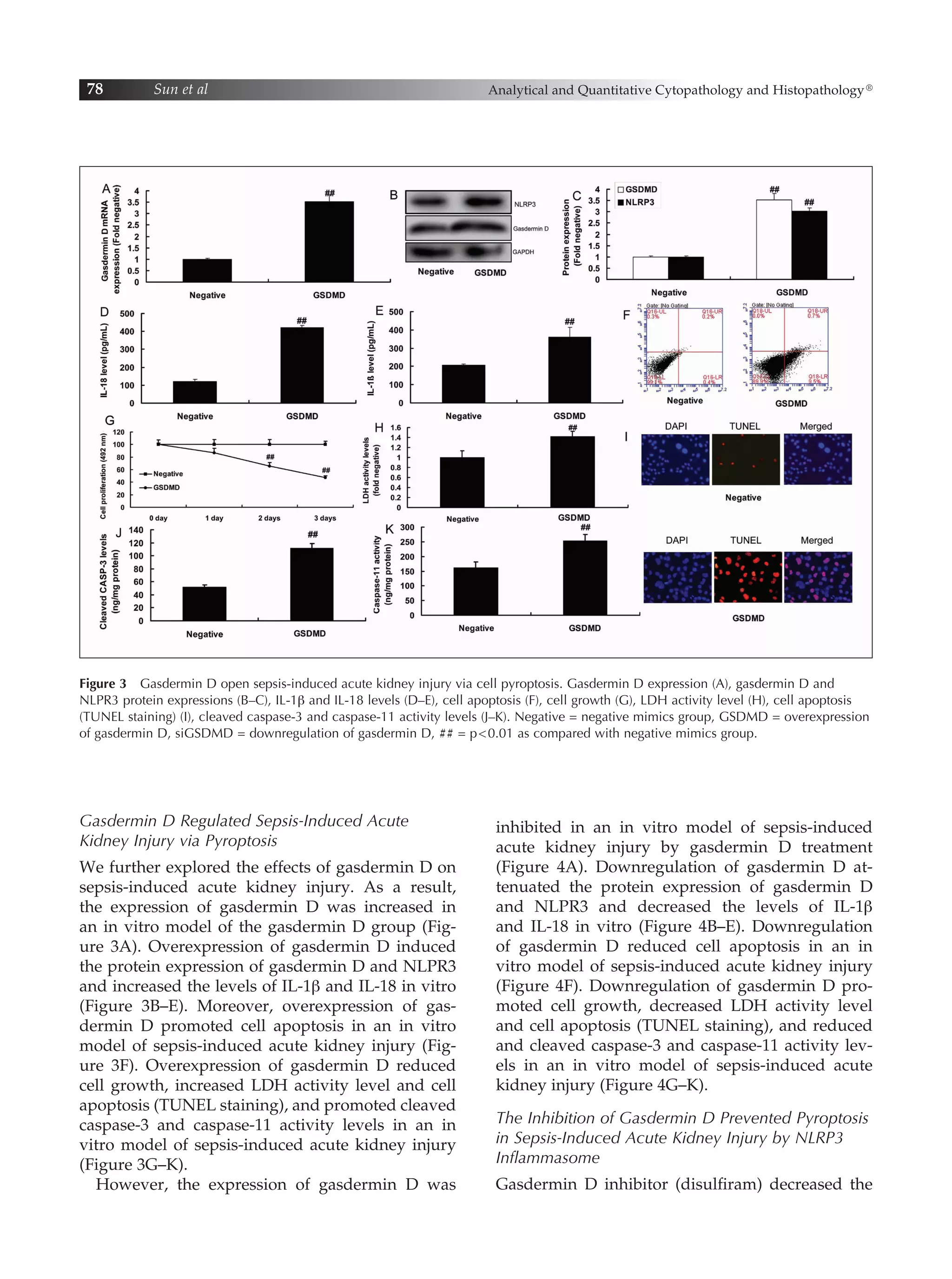Gasdermin D Open Sepsis-Induced Acute Kidney Injury via Cell Pyroptosis ...