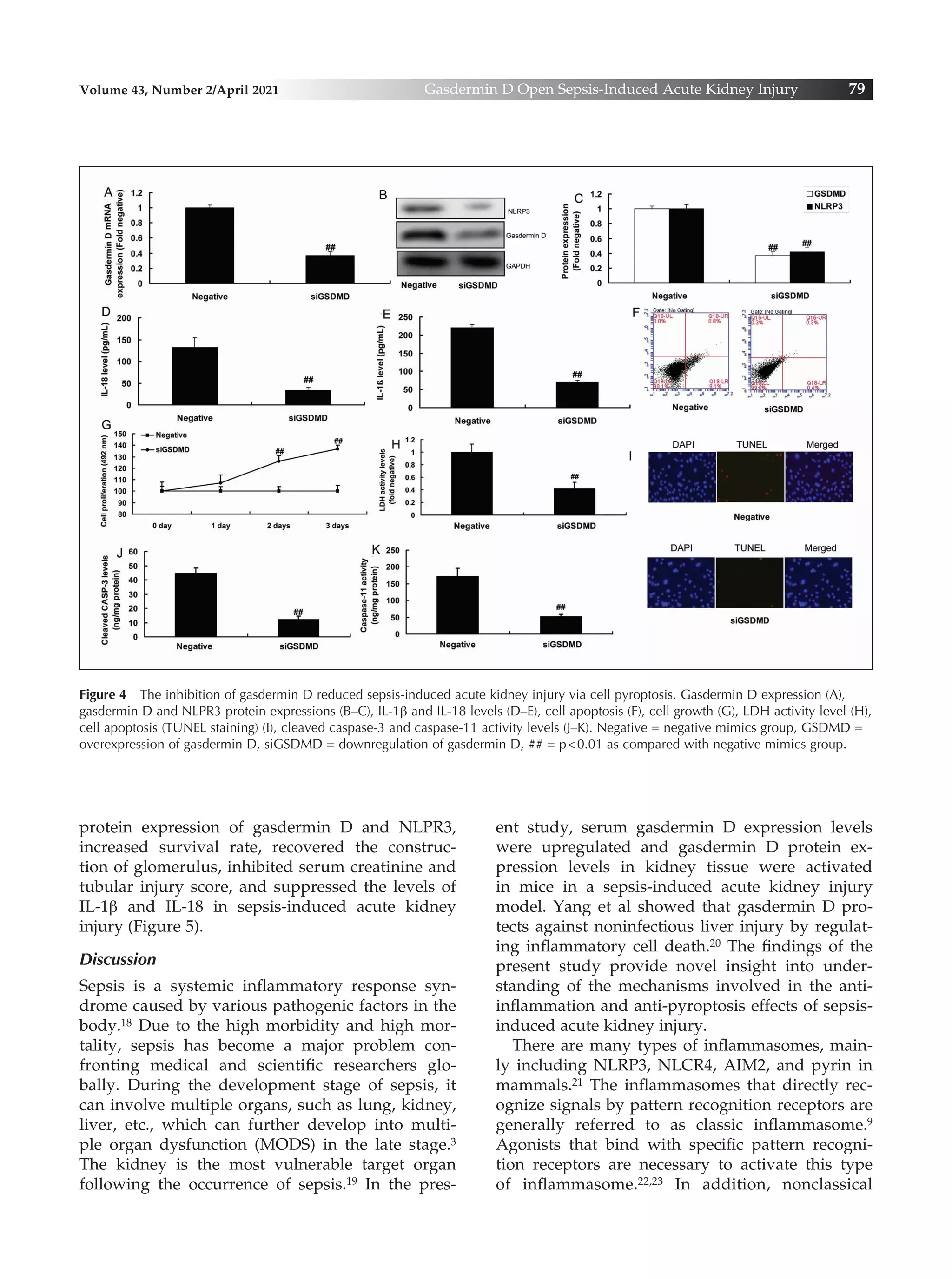Gasdermin D Open Sepsis-Induced Acute Kidney Injury via Cell Pyroptosis ...