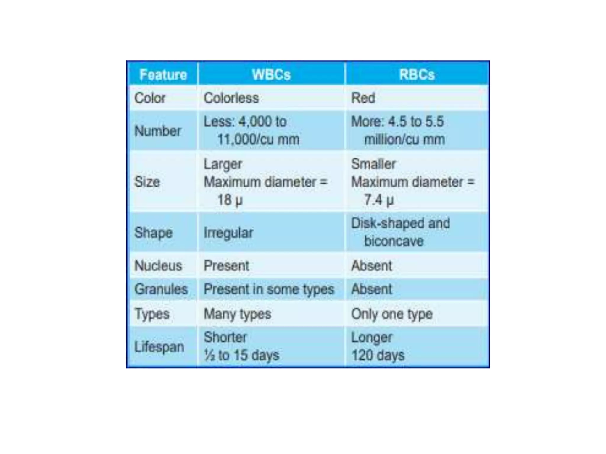 5.white blood cells | PPT