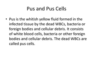 5.white blood cells | PPTX