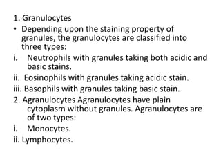 5.white blood cells | PPTX