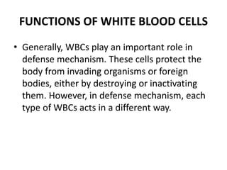 5.white blood cells | PPT