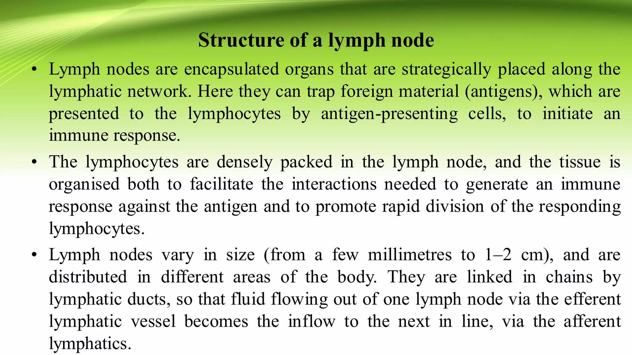 5. lymphatic system | PDF | Ear, Nose and Throat Conditions | Diseases ...