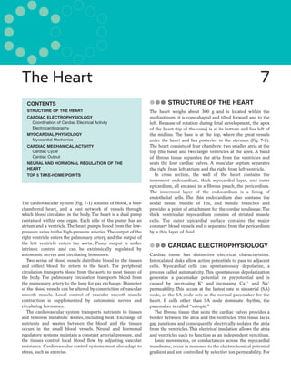 5. lectura corazón | PDF