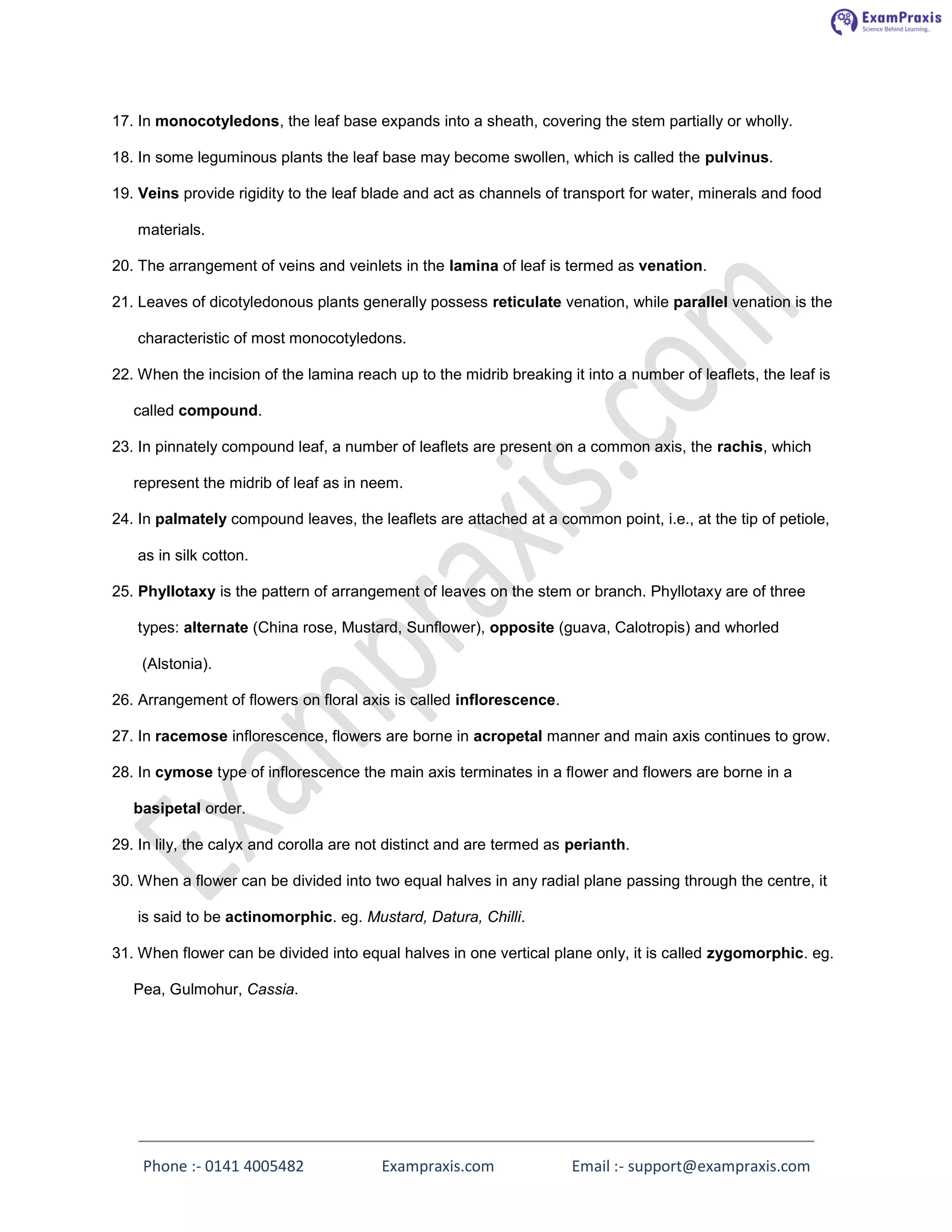 Morphology of Flowering Plants, Important Notes-ExamPraxis | PDF