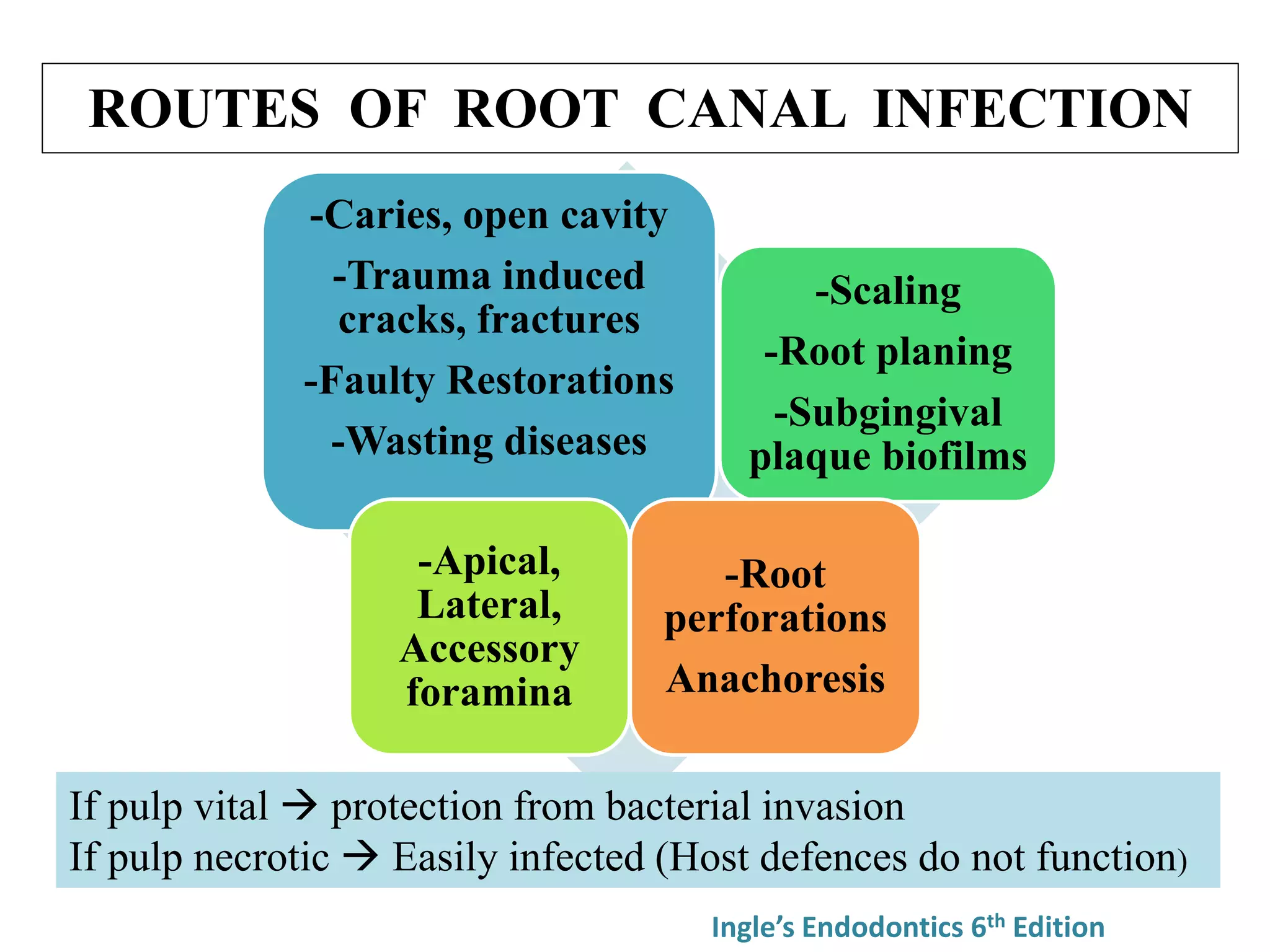 Endodontic Microflora | PPTX