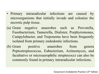 Endodontic Microflora | PPTX