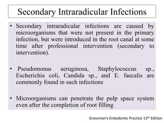 Endodontic Microflora | PPTX