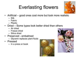 5 21 everlasting flowers | PPT